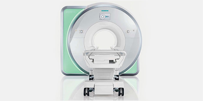 Alborg scan | Services